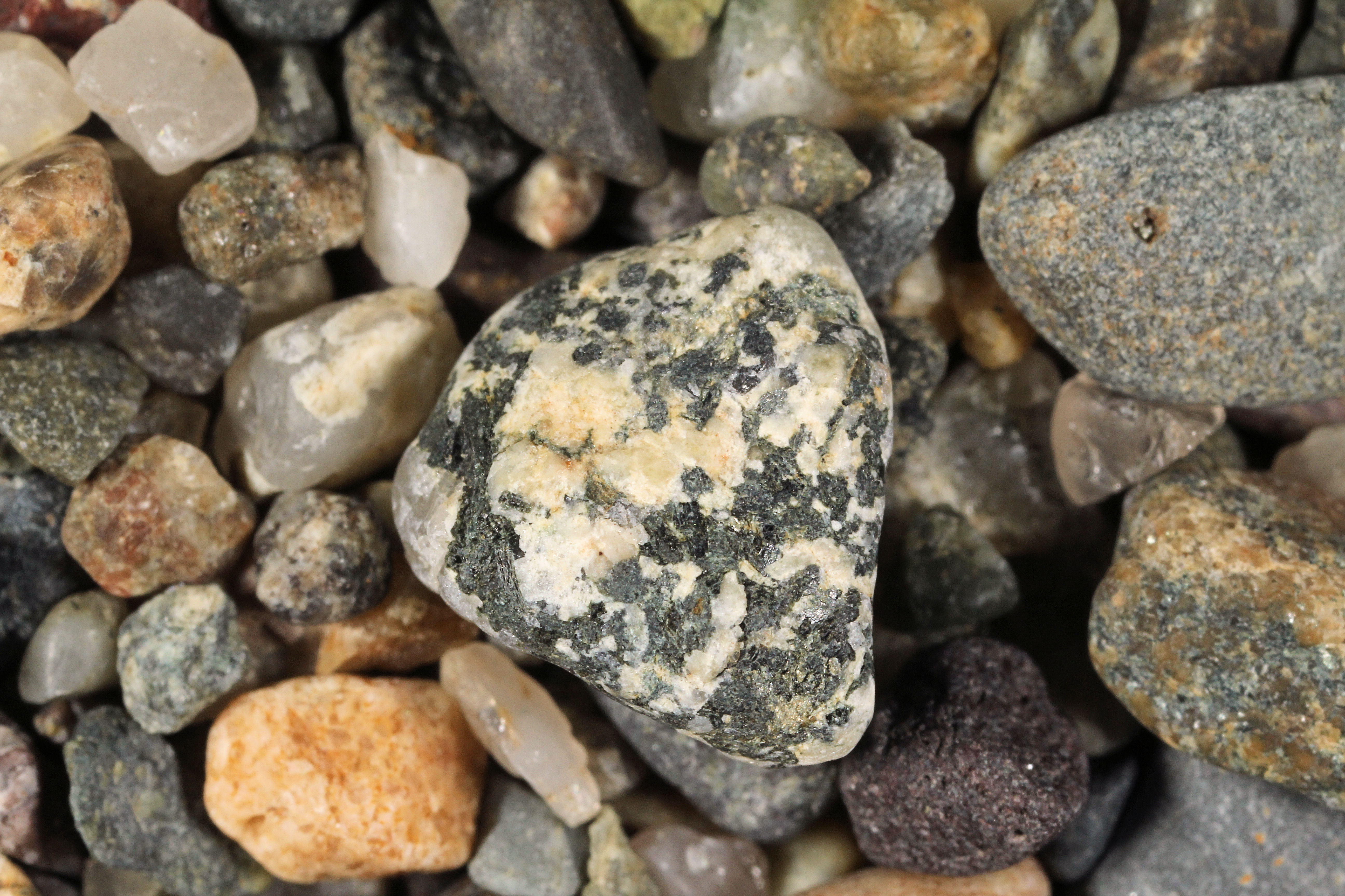 Rocky Beach , Cohasset