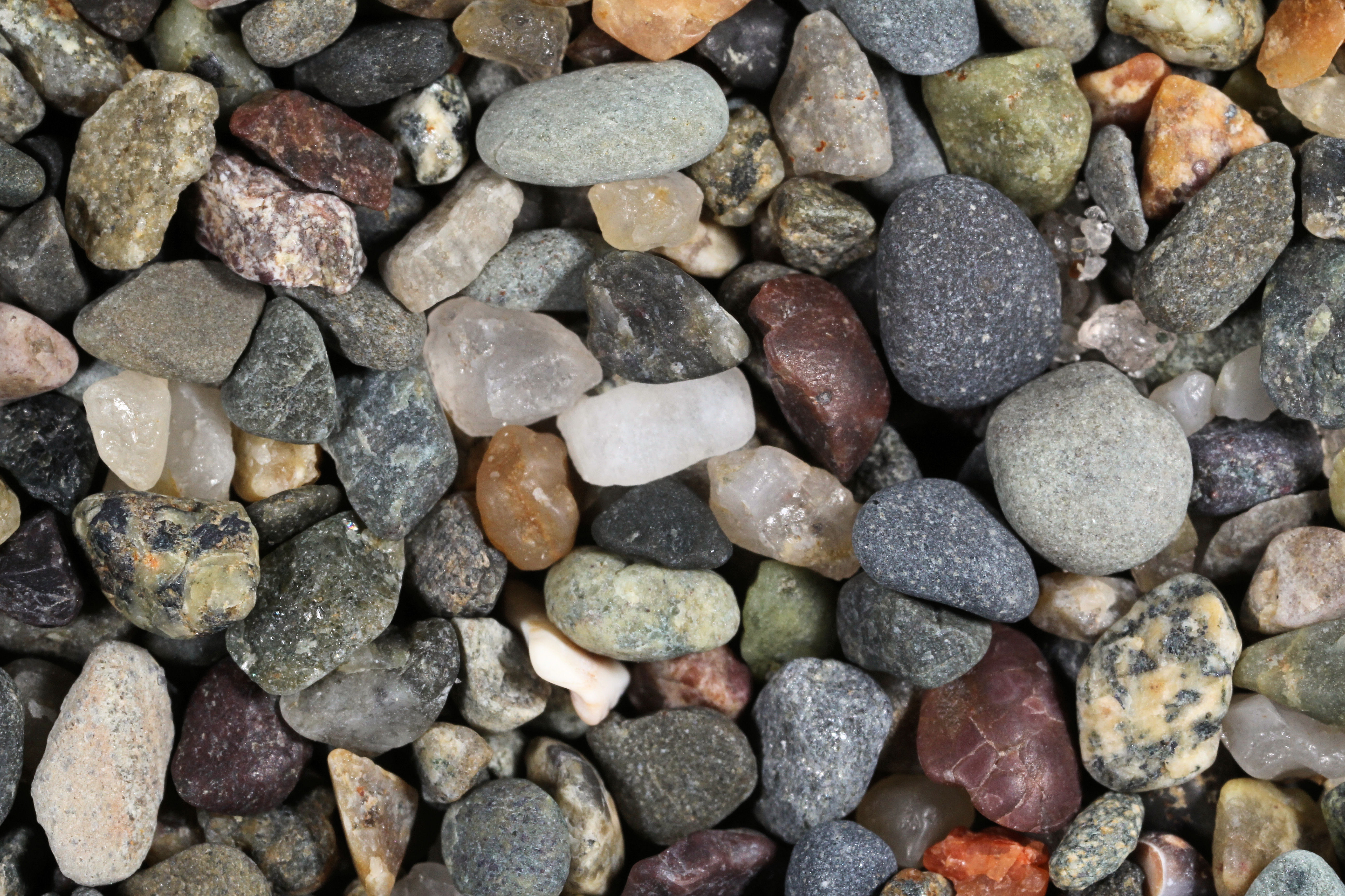 Rocky Beach , Cohasset